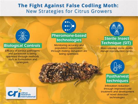 Citrus Research Citrus Research International