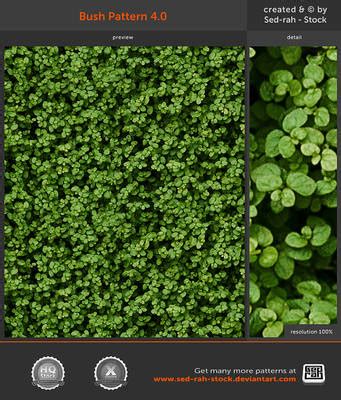 Tree 34 Png By Gd08 On DeviantArt