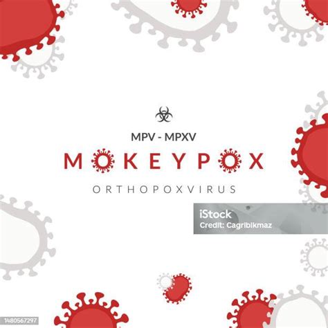 원숭이 두 바이러스 배너 원숭이 Pox 바이러스 발생 전염병 배경 원숭이 두 바이러스 질병 감염 의학 원숭이 Pox 발생 벡터 일러스트 레이 션 감기와 독감에 대한 스톡