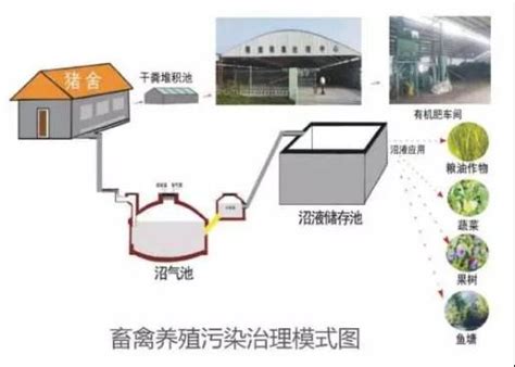 想做循环农业的农友注意啦这几种模式很赚钱 长江蔬菜
