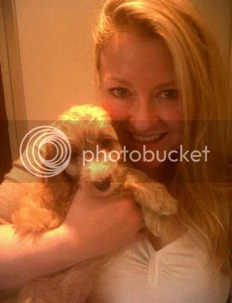 Image Bank Abfabcockapoo