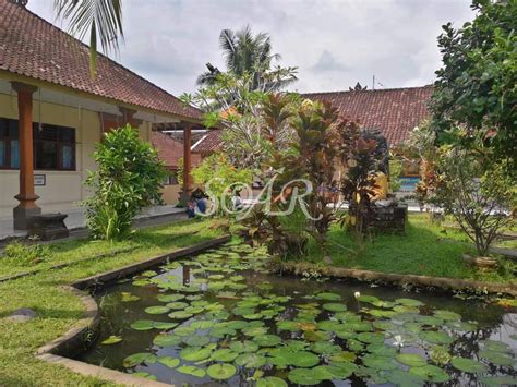 巴厘岛中文教学hot 志愿者项目 Soar国际义工旅行