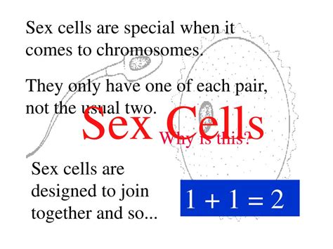 PPT Mendelian Inheritance PowerPoint Presentation Free Download ID 2115241