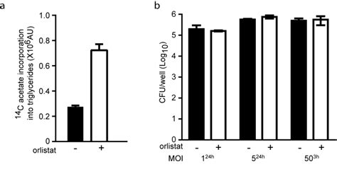 Figure S2 Related To Figure 2 And 3 Inhibition Of Fatty Acid