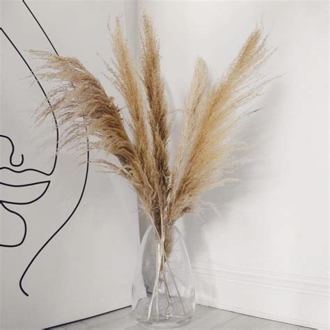 Honey Mixed Pampas Bouquet Uk Kiss My Pampas Primrue Pampas Grass
