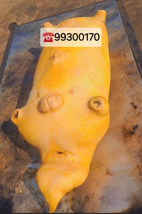 Боодог Боодогны захиалга авч байна Амтат зоогоор алжаал ядаргаагаа заавал тайлаарай Үнэхээр