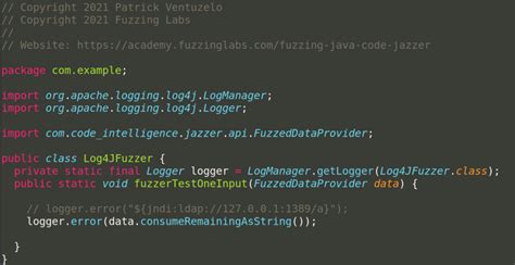 Can We Find Log4shell With Java Fuzzing Cve 2021 44228