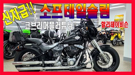 판매완료 신차컨디션 코브라머플러 장착된 할리데이비슨 소프테일슬림 Youtube