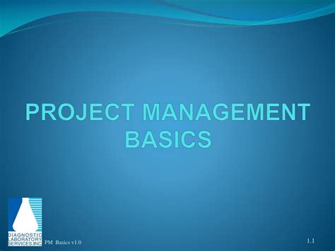 Ppt Project Management Basics Powerpoint Presentation Free Download