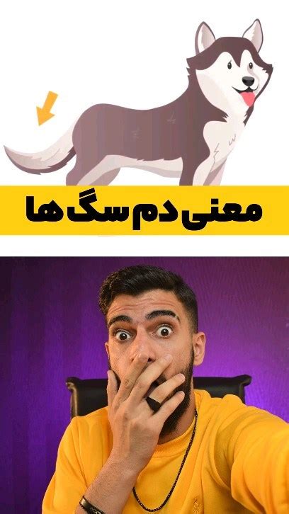 Rexeram Instagram On Pinno کپشن رو حتما بخون🔴👇 این ویدیو نسخه کوچک