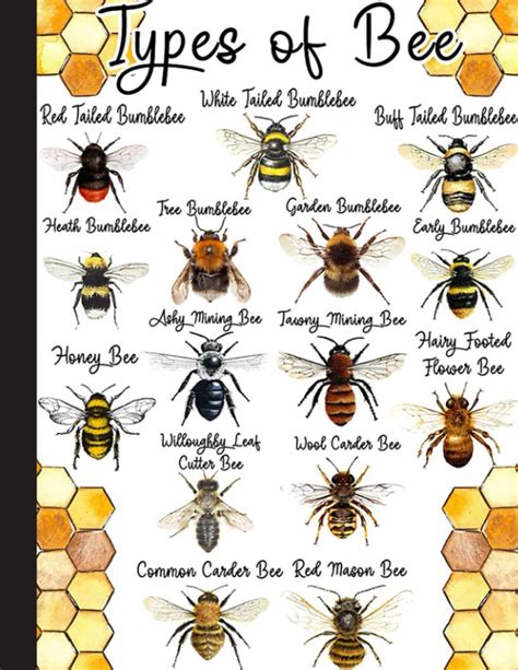 Types Of Bee Notebook Bee Journal Bee Ts For Bee Lovers Perfect