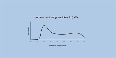 Fsh Hormone Levels Charts And Fertility Implications Ro