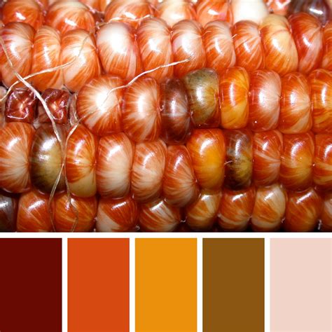 Orange Indian Corn Color Palette