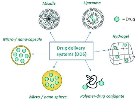 Overview Of Polymeric Based Drug Delivery Systems Dds 23