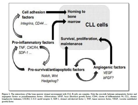 Advances In Rheumatology Research Rheumatology Research Journals