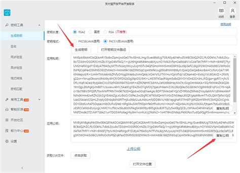 node vue实现支付宝支付 沙箱 完整版 亲测可用 支付宝支付 vue写法 csdn博客