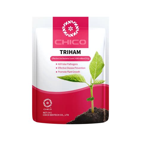 Trichoderma Harzianum Fungi Fertilizer Effective Disease Prevention
