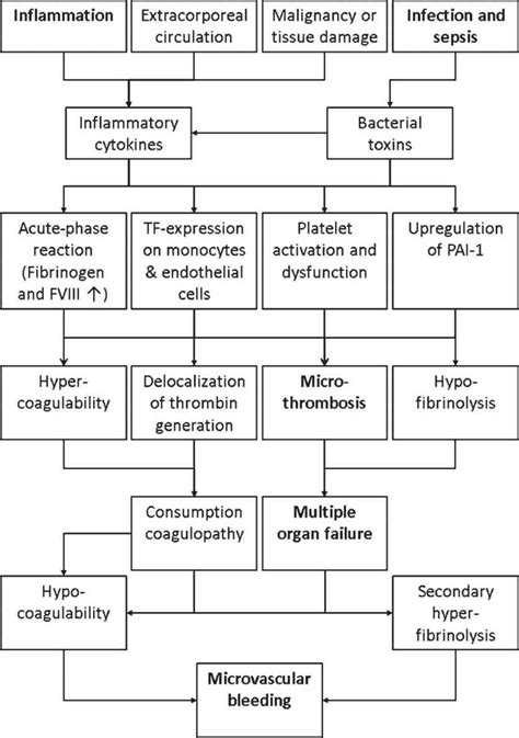 Coagulopathy And Hypercoagulability Anesthesia Key