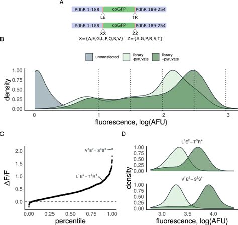 Sort Seq Assay Of A Pyronicsf Linker Library A Schematic Depicting Download Scientific