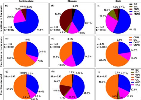 Examples Of Aerosol Component Retrievals Derived From Aeronet Sunsky