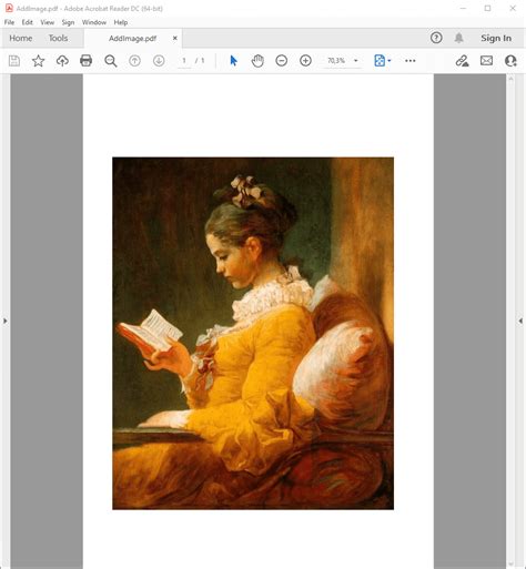 Add Export Remove And Transform Images In PDF Using C