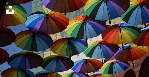 낮에는 여러 가지 빛깔의 우산을 매달아 놓았습니다 사진 Unsplash의 무료 우산 이미지