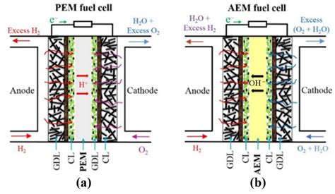 Fuel Cell Gas Diffusion Layer Material At Edith Drum Blog