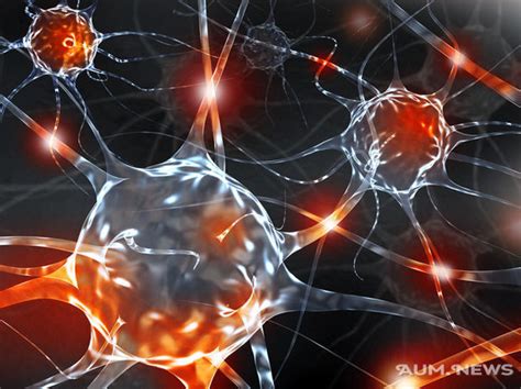 Упражнения для развития памяти - AUM News