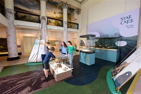 Enjoy A Viking Takeover At The Yorkshire Museum February Half Term 2026