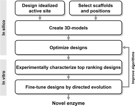 Figure 1 From Computational Design Of Enzymes Semantic Scholar