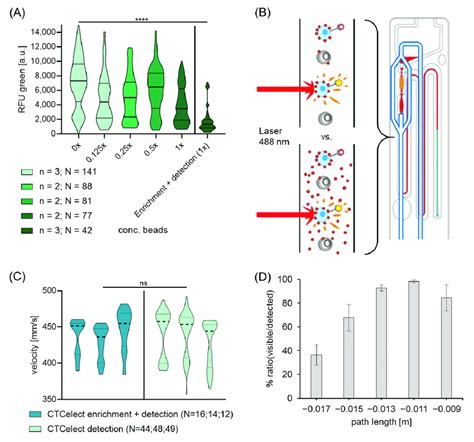 Characterization Of Fluorescence And Flow Properties Of Bead Bound