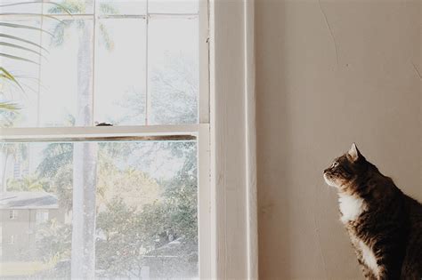 How To Insulate Windows For Year Round Comfort PA Window Tint