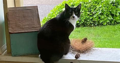 Spawn Camper Album On Imgur