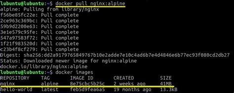 Crear Docker Nginx Con Alpine Autocertificado Ssl Nubelonia