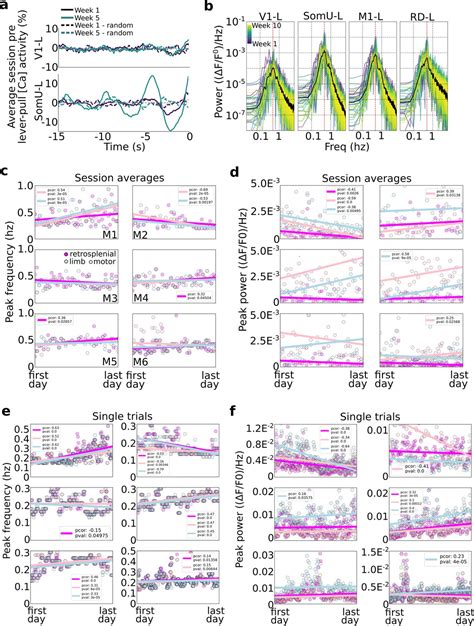 Mesoscale Cortex Wide Neural Dynamics Predict Self Initiated Actions In Mice Several Seconds