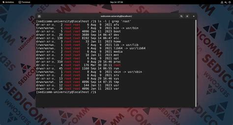 Конвейер команд в Линукс — часть 2 курсы Astra Linux Вильнюс Сетевая Академия Cisco Linux