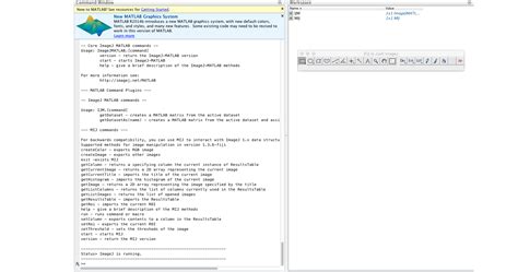 Imagej And Matlab