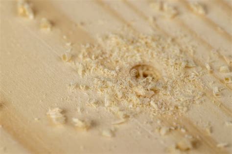 Metal Drill Bit And Pine Wood Board During Operation Stock Image Image Of Carpentry Sawdust