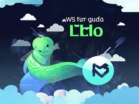 Python部署利器Vercel实战指南 达沃热点