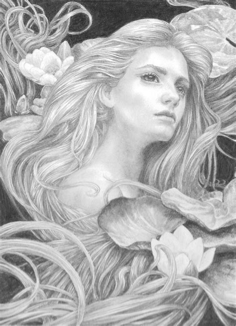 Lily Drawings In Pencil Gilded Monochrome Lily Illustration Tutorial