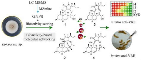 Journal Of Natural Products Current Issue Acs Publications