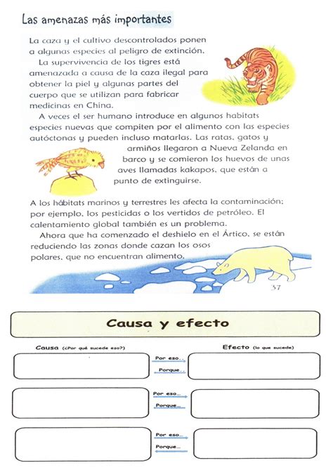 El Caso De Los Textos Informativos En La Escuela Comprension Lectora