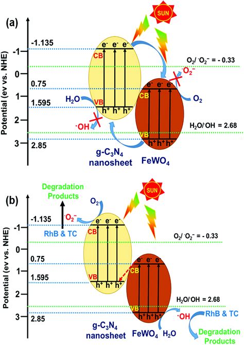 Construction Of In Situ Self Assembled Fewo 4 G C 3 N 4 Nanosheet Heterostructured Z Scheme