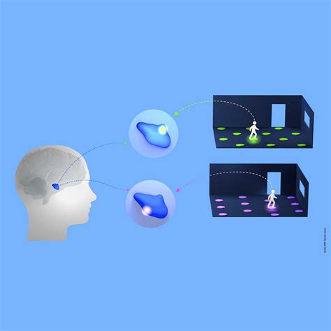 Measuring Spatial Navigation With Xr A Unique Window Into Early Stages Of Dementia Medvr