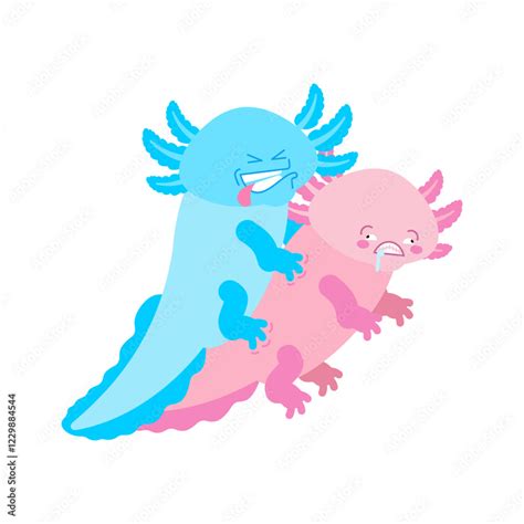 Axolotl Sex Axolotls Intercourse Salamander Reproduction Stock Vector