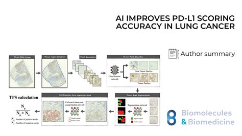 Nsclc Biomarker Analysis Archives Biomolbiomed Viewpoints
