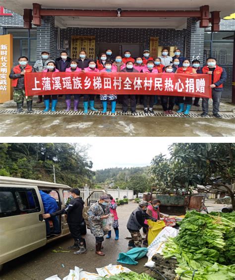 辰溪青年爱心接力 近3吨蔬菜助力怀化抗疫腾讯新闻