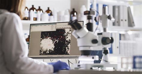 백신 의학 또는 약국 분석을위한 의료 실험실의 과학자와 함께 연구 박테리아 및 컴퓨터 과학 기술 및 건강 관리 혁신 테스트 연구를위한 Pc 전문가 실험실에 대한 스톡 사진