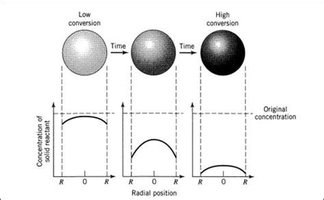 The Progressive Conversion Model Download Scientific Diagram