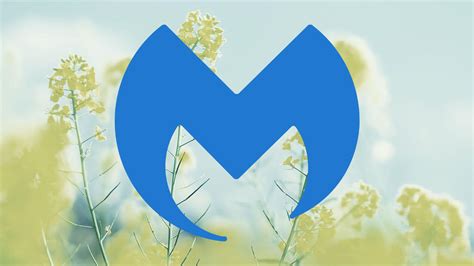 How To Stop Malwarebytes From Disabling Windows Defender